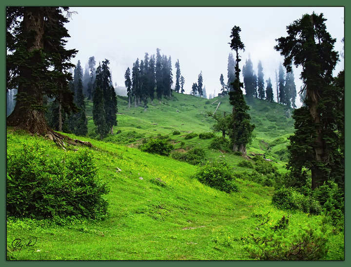 travel and tourism: Kaghan Valley Pakistan
