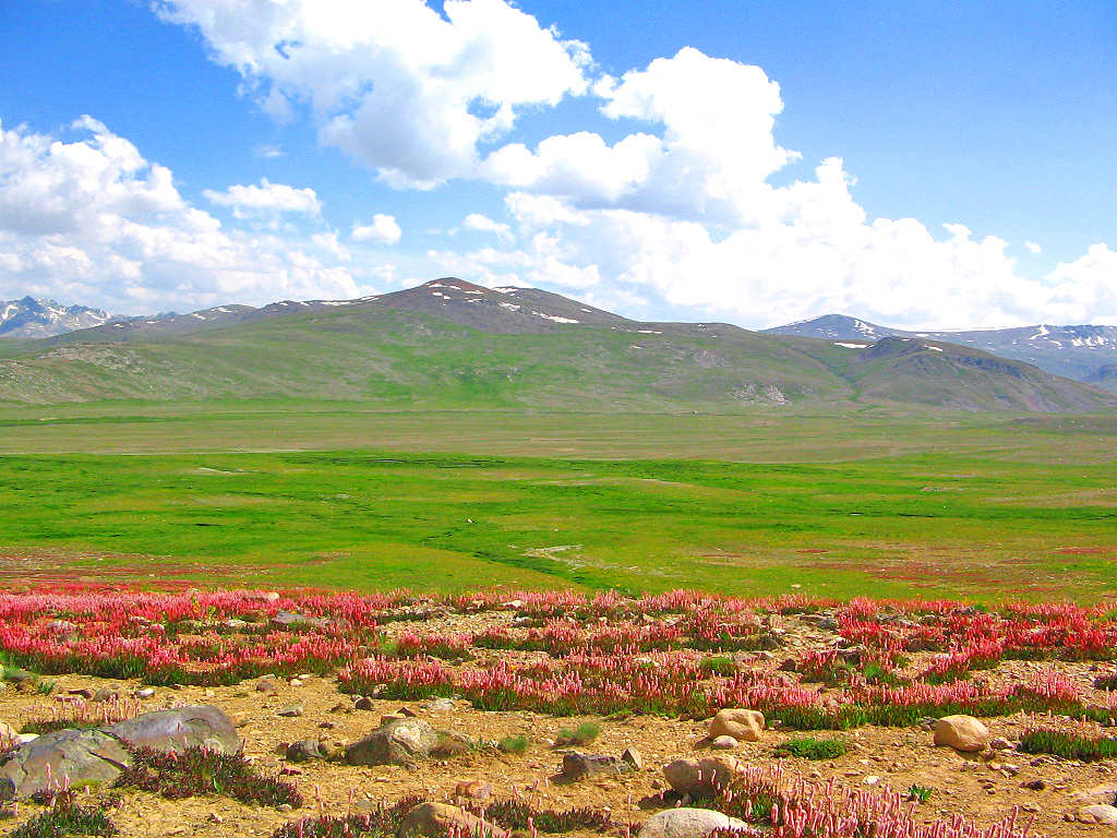 Deosai National Park Skardu Wallpapers