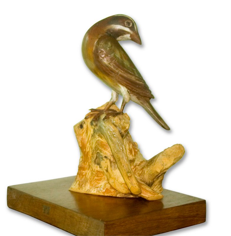 epistheme: Noticias del Frente Ancestral 053