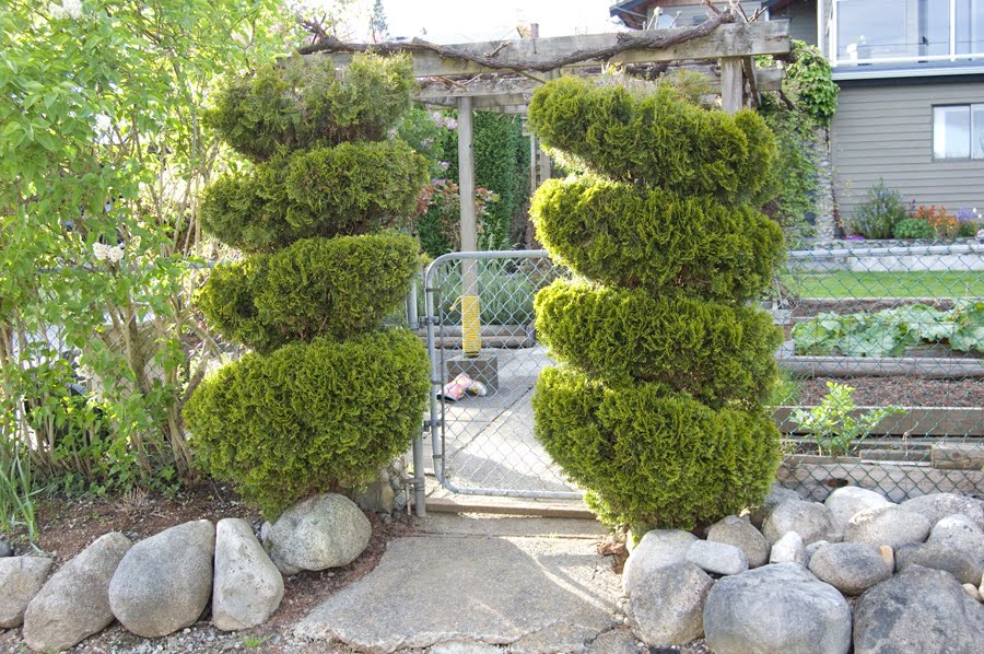 dahlhaus: back alley gates