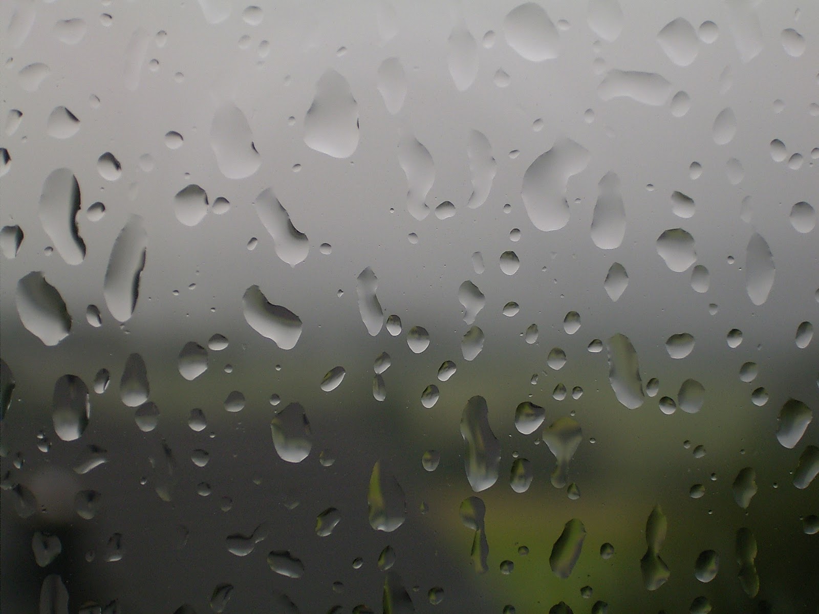 A Different Quill: Rains!