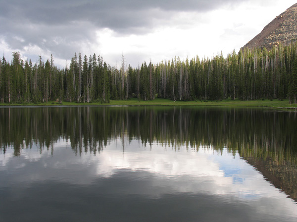 Boarding Pass – Kate Lydon | Prêt à Voyager