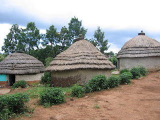 David in Swaziland: Swazi Houses