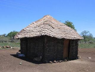 David in Swaziland: Swazi Houses