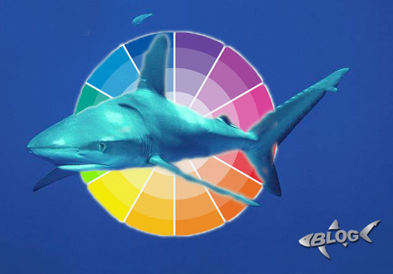 BlogTiburones: Los tiburones no distinguen los colores (o quizás sí...)