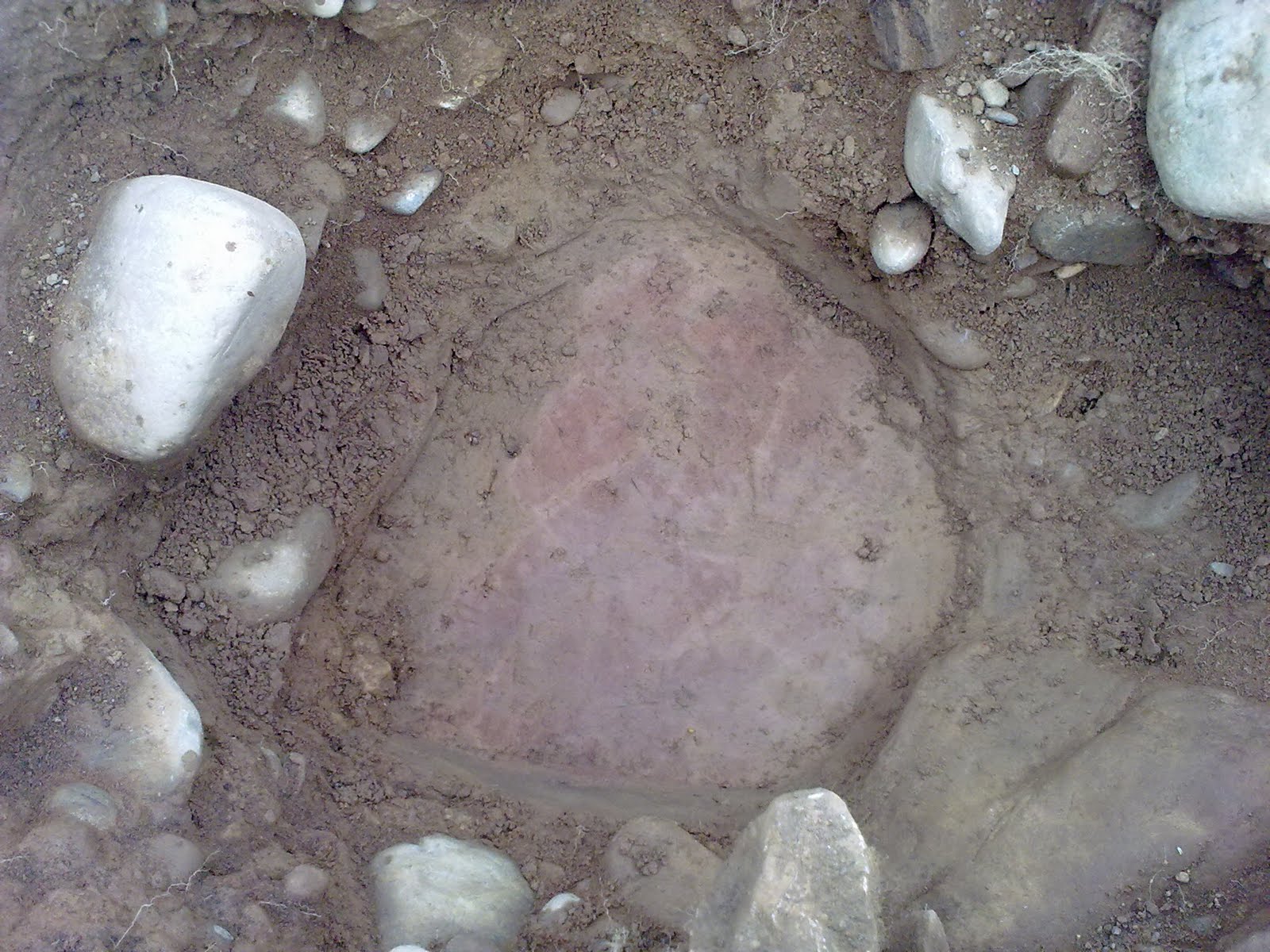 Caer Alyn Archaeological and Heritage Project Summer Dig 2010