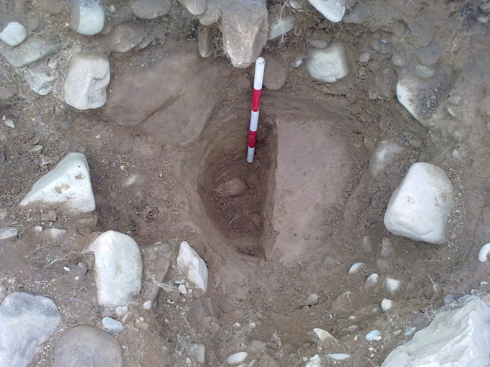 Caer Alyn Archaeological and Heritage Project Summer Dig 2010