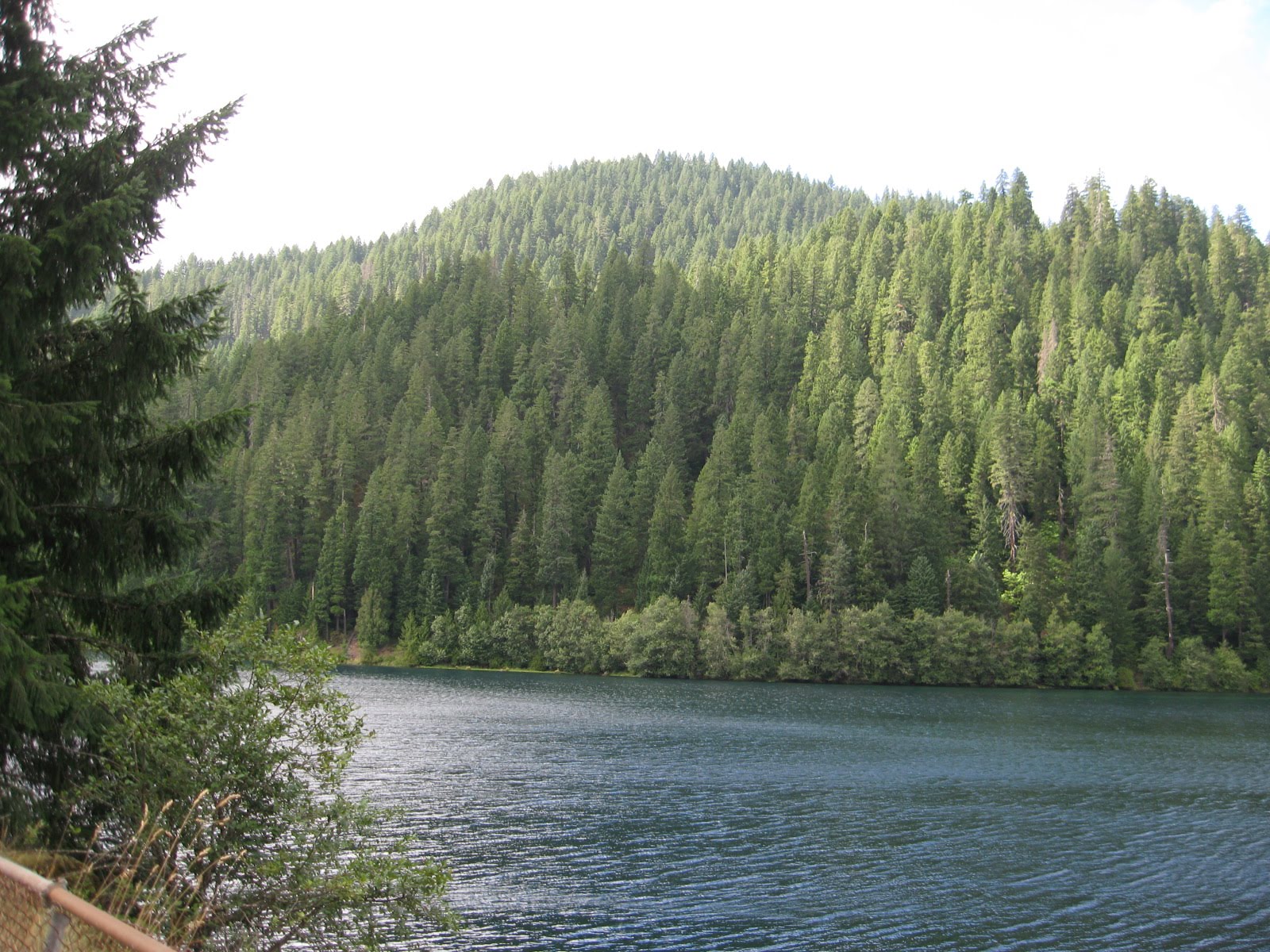 WEBB'S JOURNAL: DEXTER OREGON