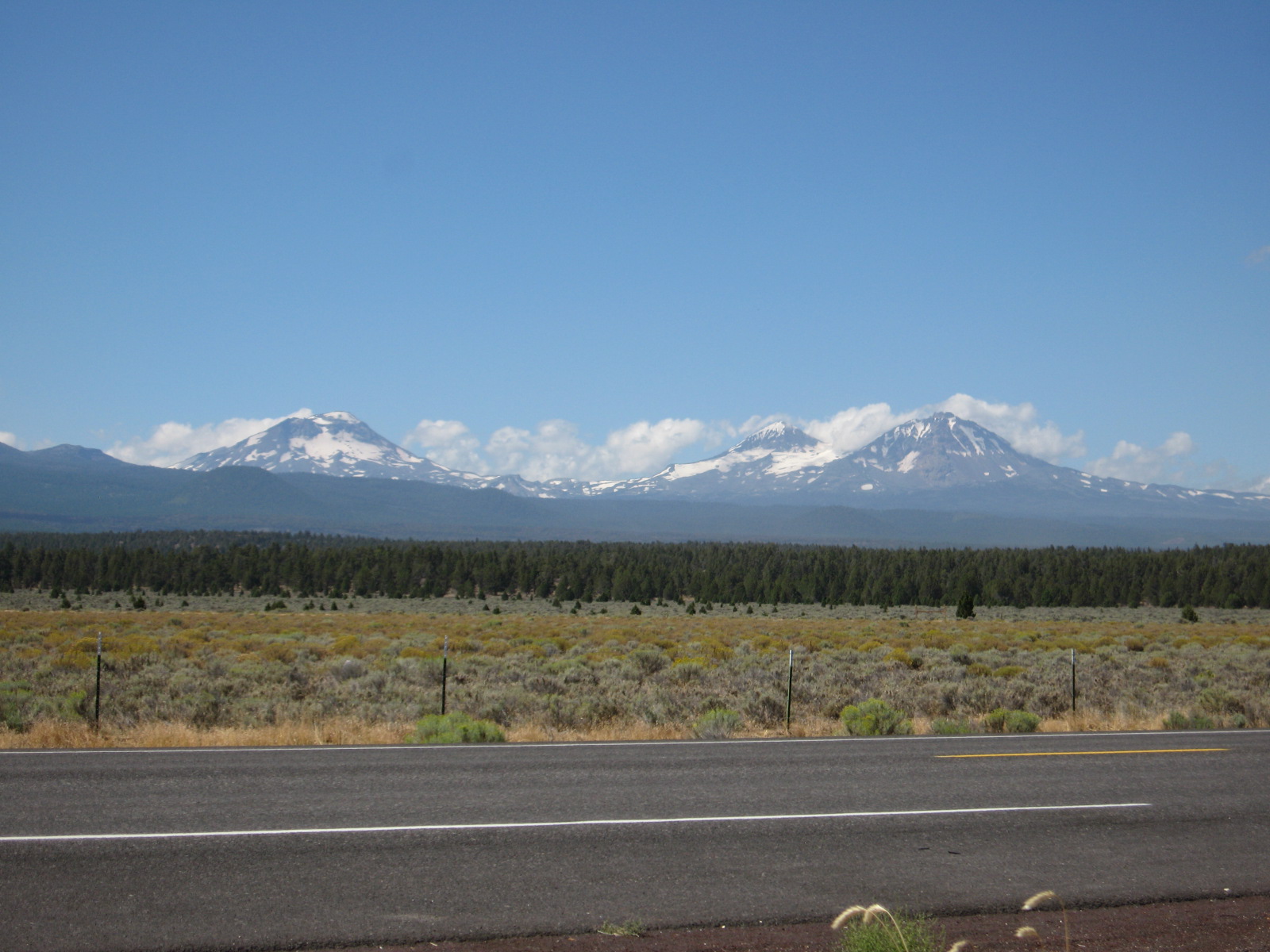 WEBB'S JOURNAL: DEXTER OREGON