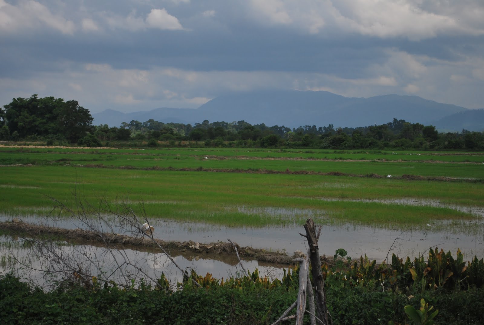 Terengganu's Touristic Appeal: Jerteh: A Town with a New Identity