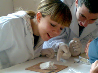 GLOBE SUANZES: Práctica: Disección de una rata