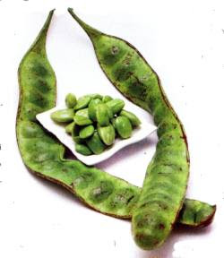 Pola Hidup Sehat: Manfaat Petai