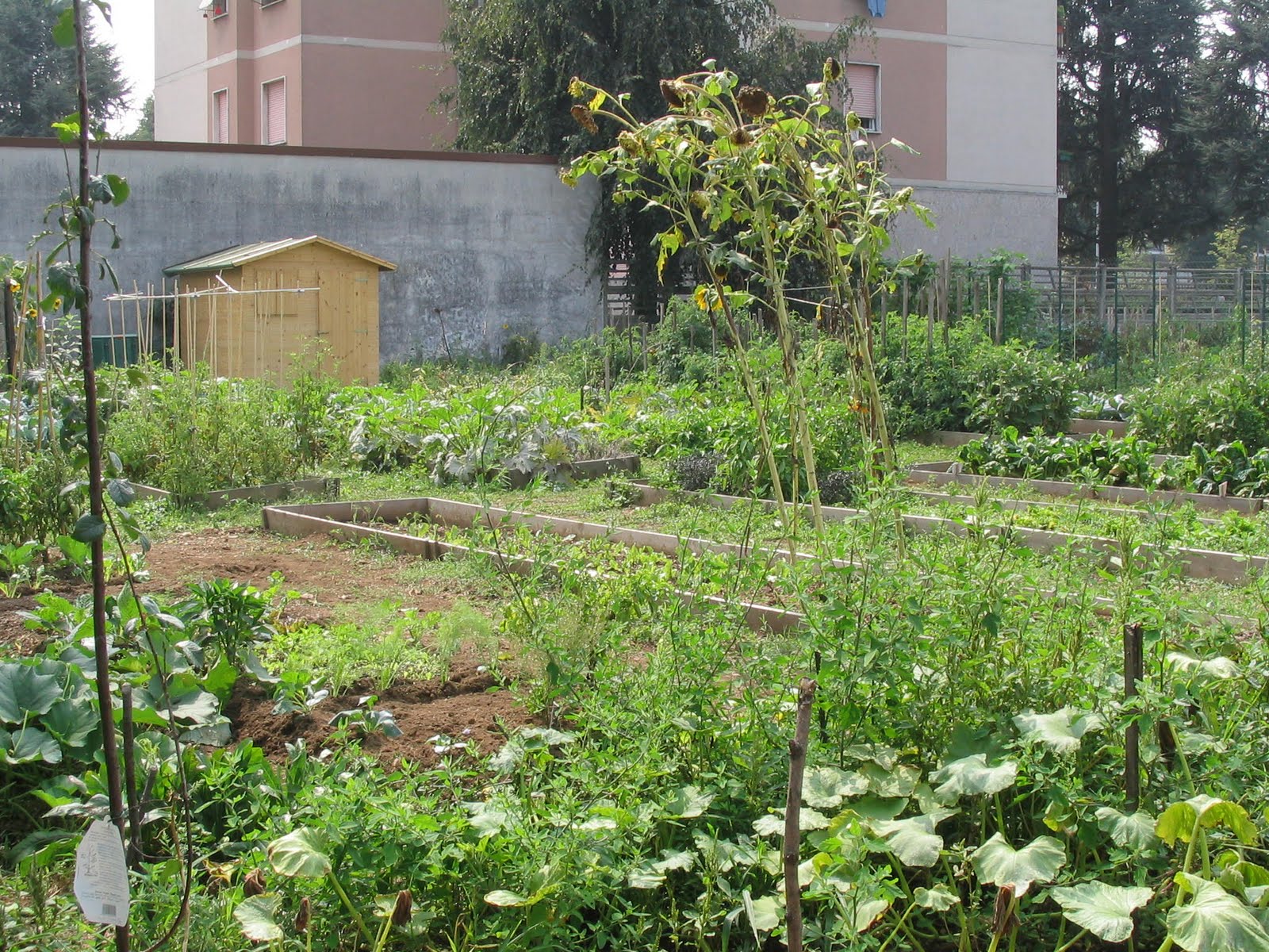 Brianza Centrale: Seregno: gestire l'orto biologico comune con Legambiente