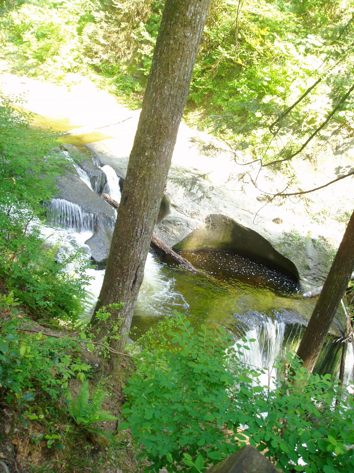 Wild West Diaries: Cliff Park in Maple Ridge