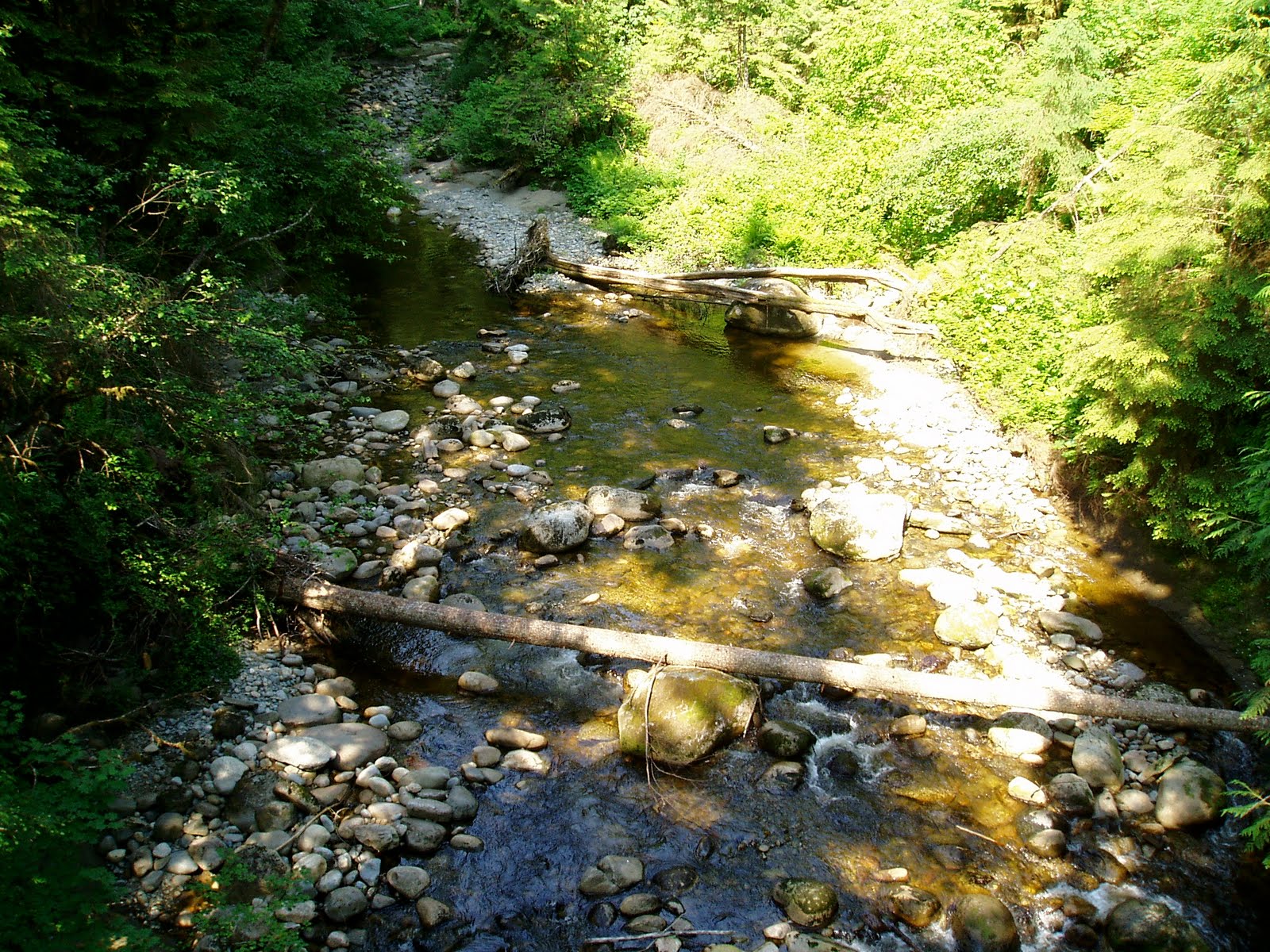 Wild West Diaries: Cliff Park in Maple Ridge