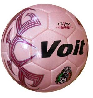 Club Puebla FC Por Carlos Moreno: Equipo Puebla 2009 Clausura