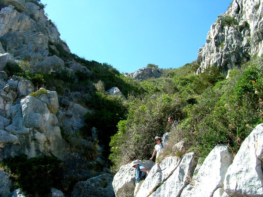 Viagens e Passeios na Natureza: Ciência Viva no Verão 2010 - Os ...