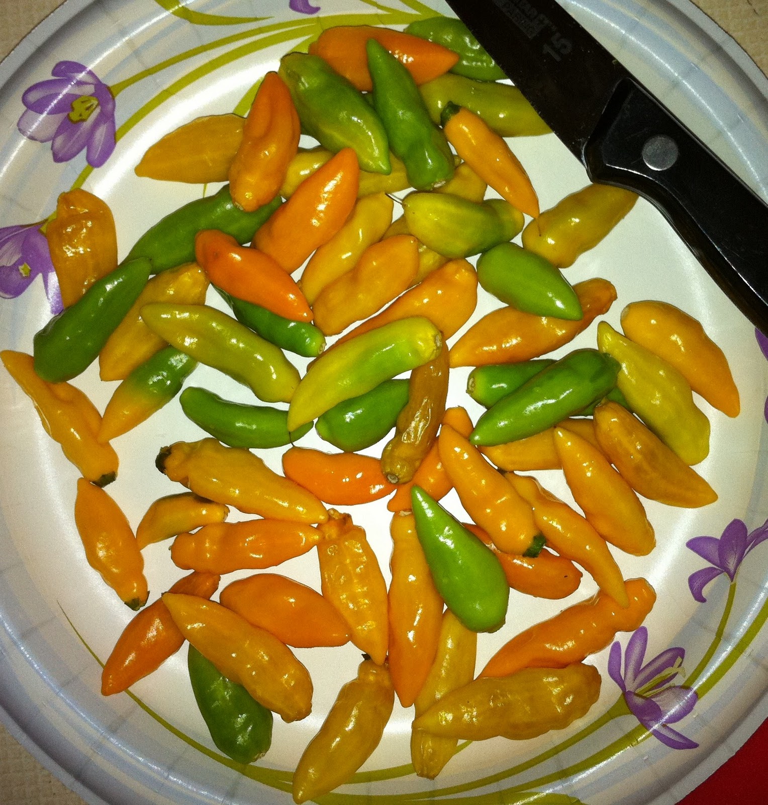 There's A Cricket In The Corner: Fire In The Kitchen Datil Pepper Sauce