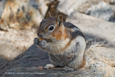 Mary Angelini Photography: DAY 7 – Sunrise at Schwabachrs, Stampede at ...
