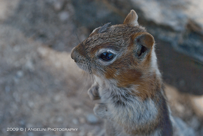Mary Angelini Photography: DAY 7 – Sunrise at Schwabachrs, Stampede at ...