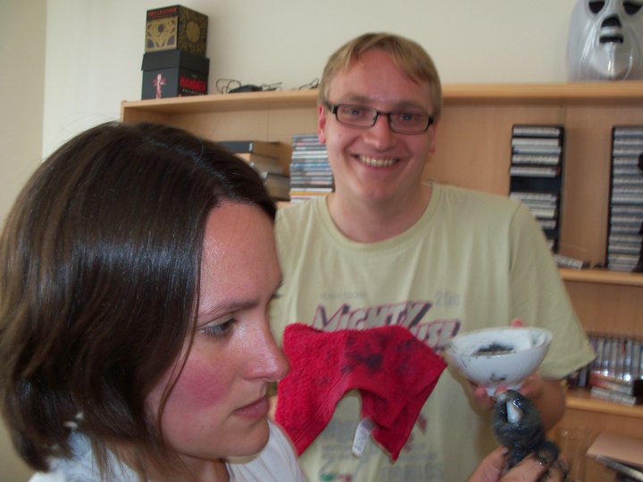 Writer by Night: Short film diary - Guest post: Andrea Regan