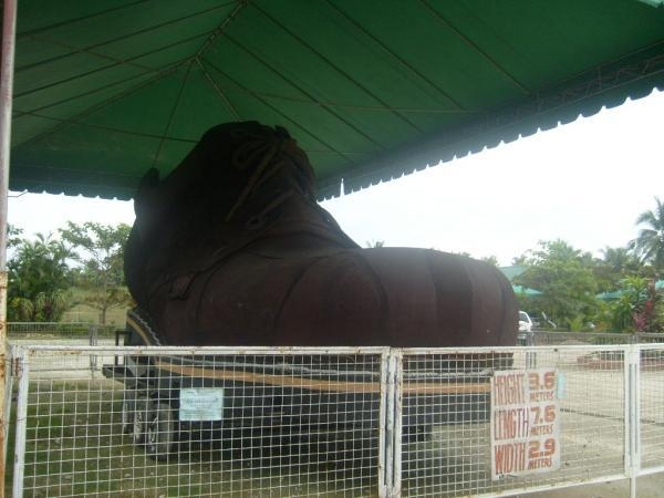 shoestringsmind...: Legacy of Carcar City, Cebu