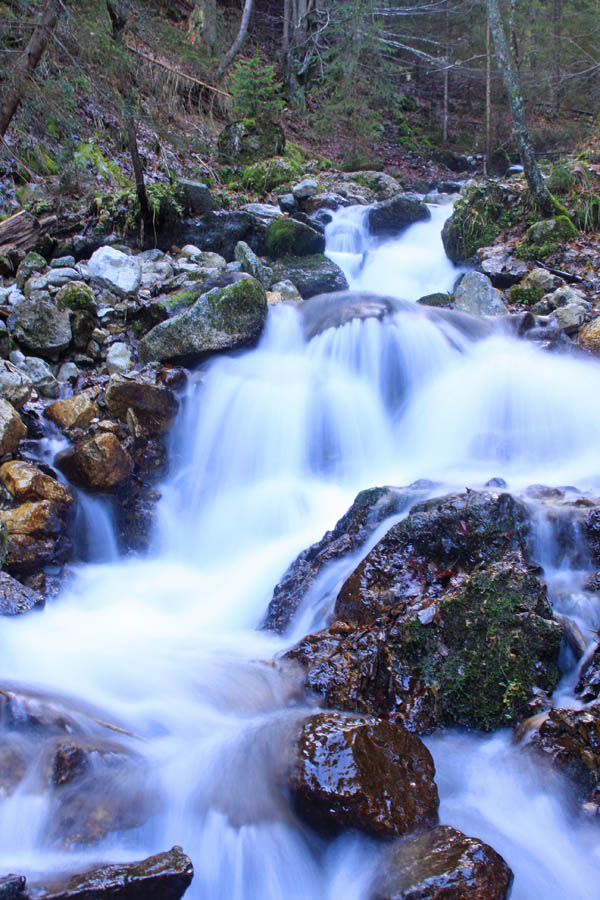 Stanko Mravljak Foto Blog: Izvir reke Meže