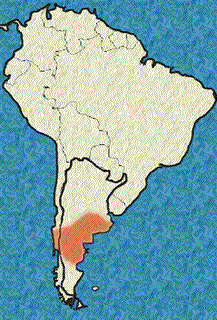 COLONIA MAPUCHE: Ubicacion Geografica