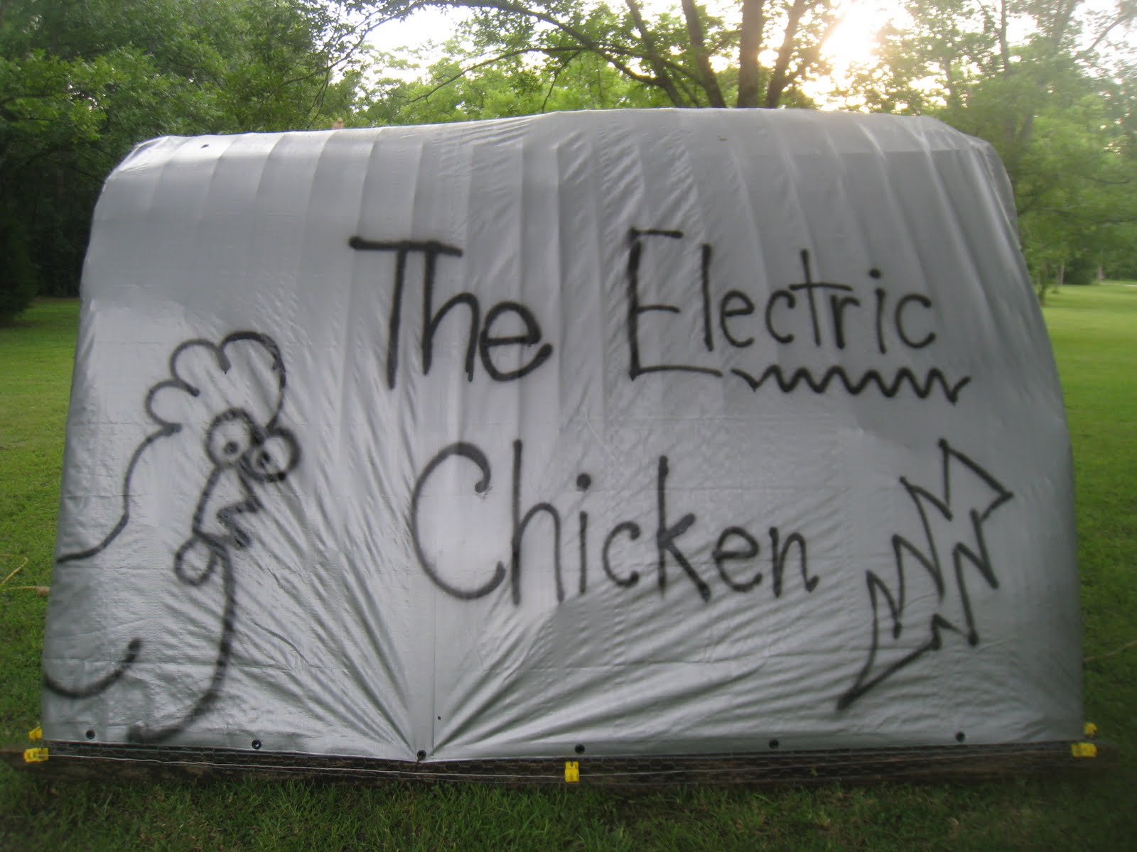 A. Taylor Made Life: Week 2: The Electric Chicken