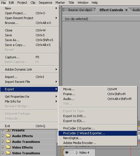 The title of your home page