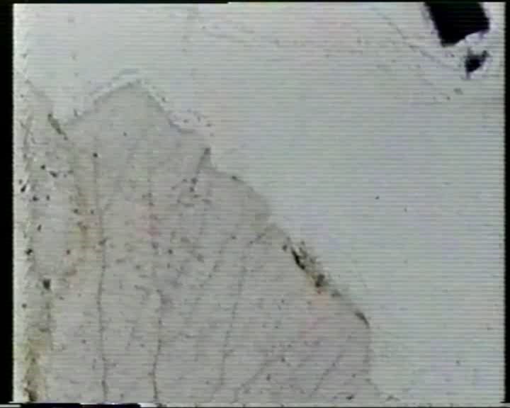 Contra el progreso: Mothlight (1963) Stan Brakhage