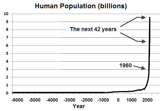 amars movie journal: How Many People Can Live on Planet Earth? (2009)