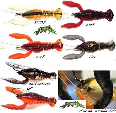 ''MARURI FISHING'': ISCA FLEX CRAWFISH (LAGOSTA)