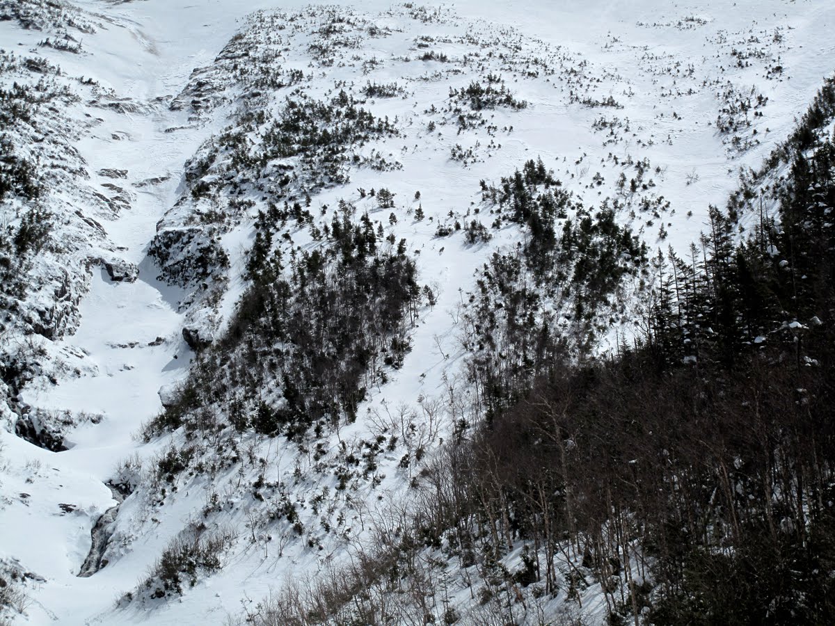 White Mountain Sojourn: 4-30-10 Ammonoosuc Ravine avalanche track