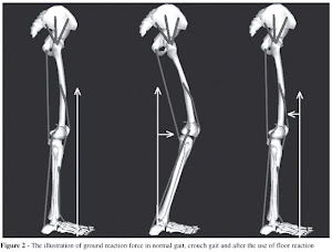 Aula Interativa: Vídeo de padrao de marcha