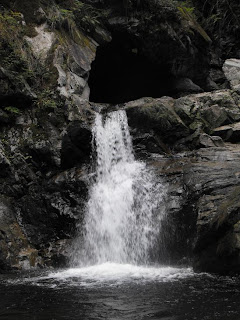 The Blog of Finian: Waterfalls UBC Research Forest Maple Ridge