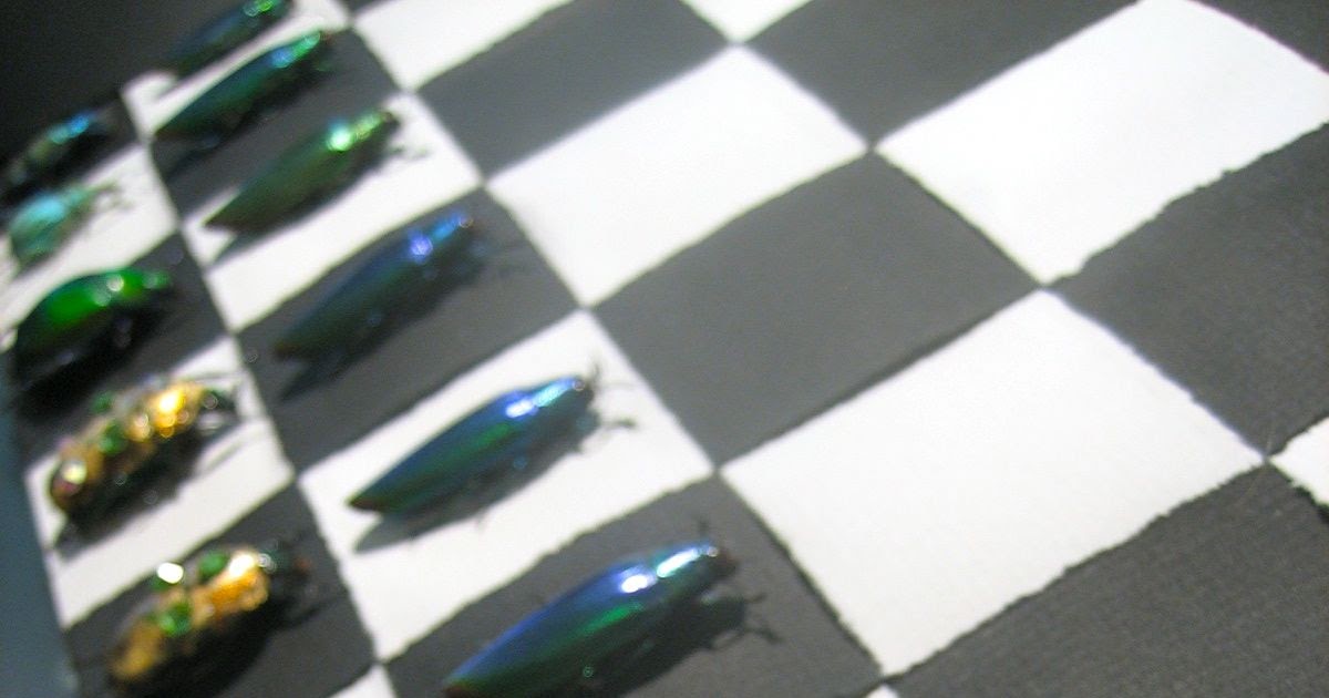 Insect Art: The Return of Bughouse Chess!