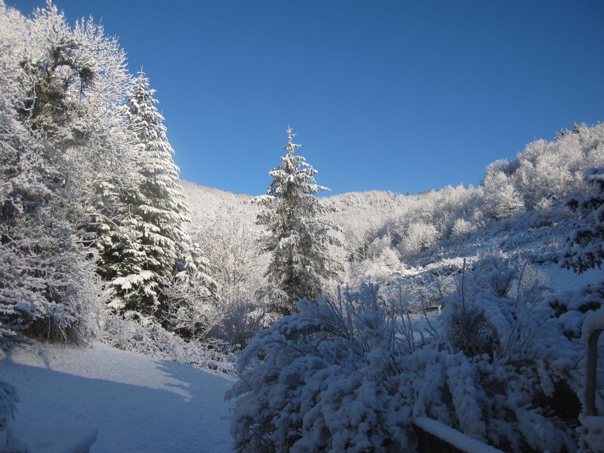 Life in the French Pyrénées: Winter