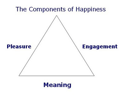 Life Enhancing: Authentic Happiness & Positive Psychology