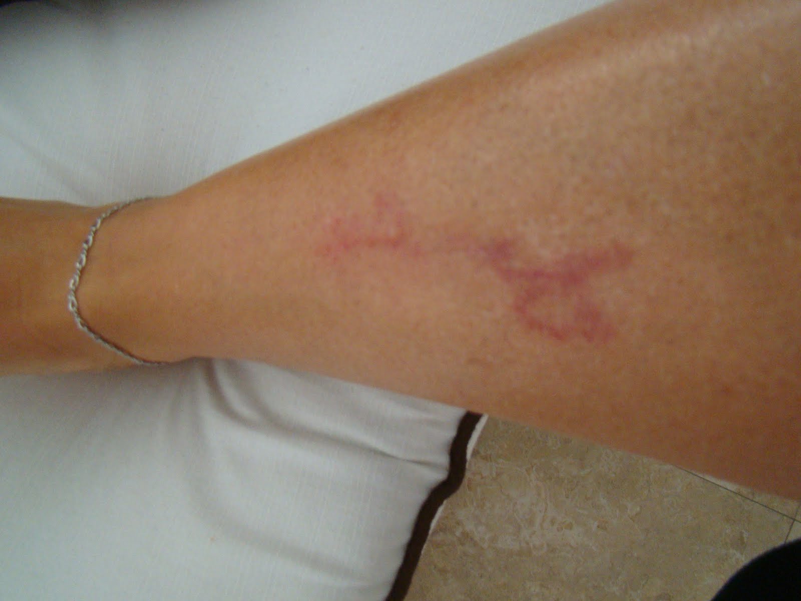 Quiet Reflections of Barbados: Beach Worm!