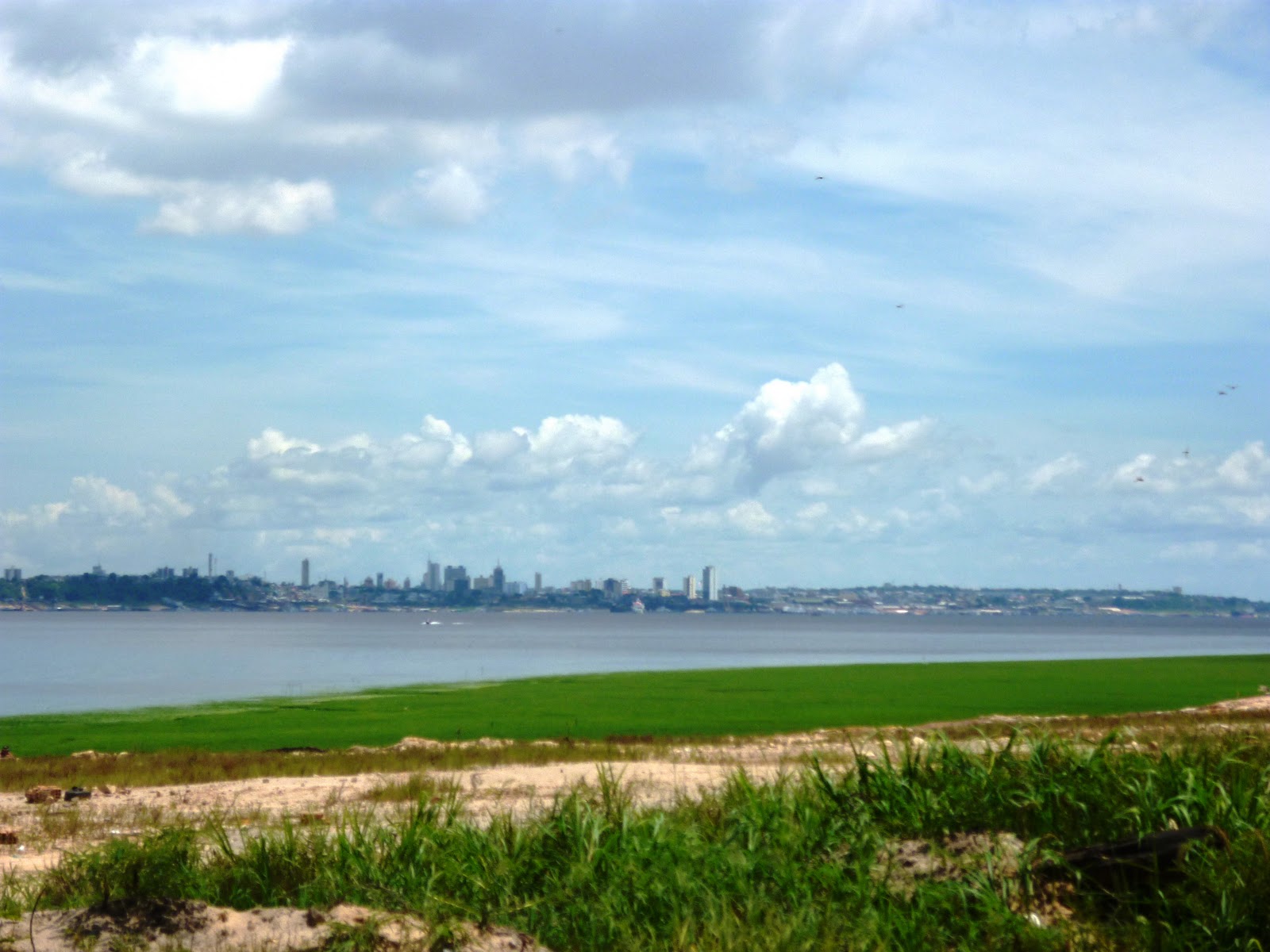 BLOGDOROCHA: MAIS FOTOS DO RIO NEGRO