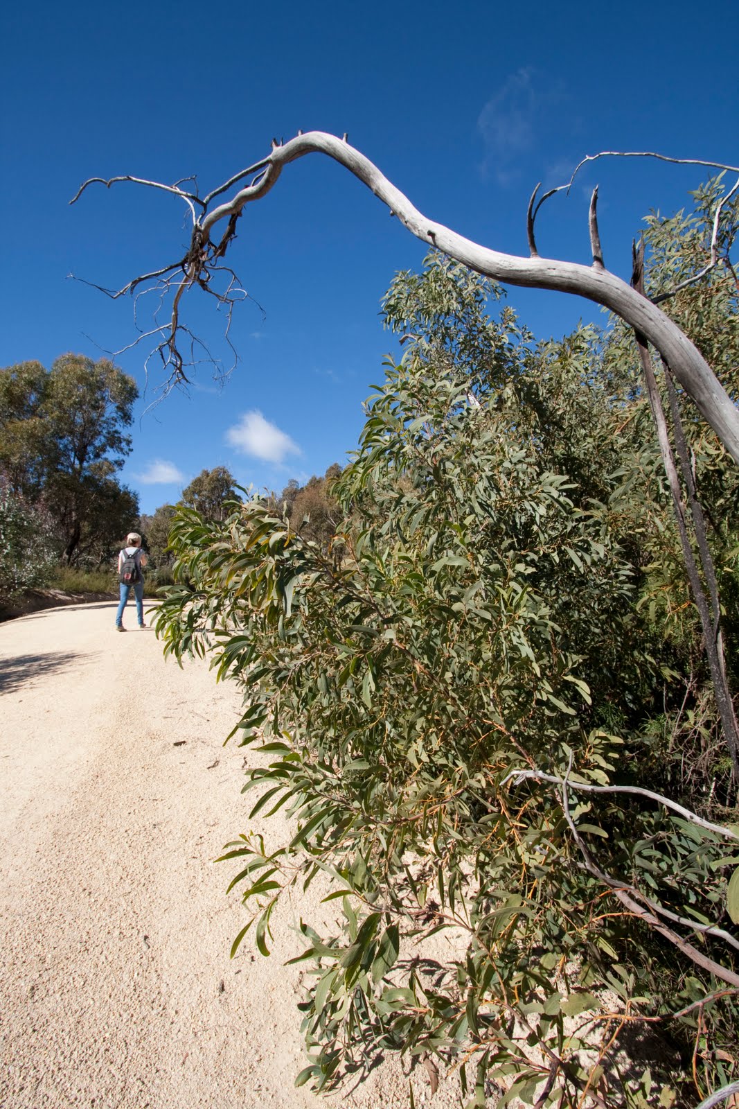 Rhys Bell Photography 3 Location