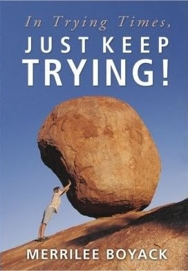 Provo City Library Staff Reviews: In Trying Times, Just Keep Trying