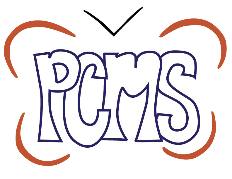 PCMS Social Studies: Goodbye 2010, Hello 2011!
