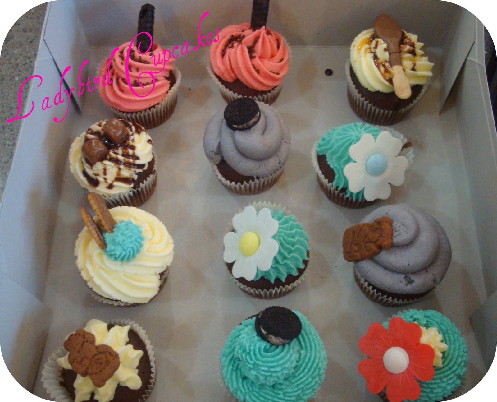 Ladybird Cupcakes: Chocolate Cupcakes with Different types of Icing