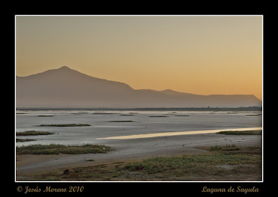 foto y natura: Laguna de Sayula
