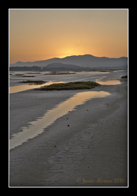 foto y natura: Laguna de Sayula