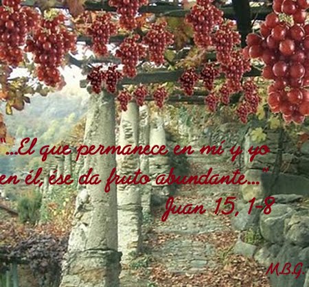 Iglesia de Linares. Liturgia: Miércoles de la 5ª semana de Pascua. Ciclo C.