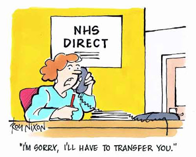 Roy Nixon's cartoon blog: NHS Direct