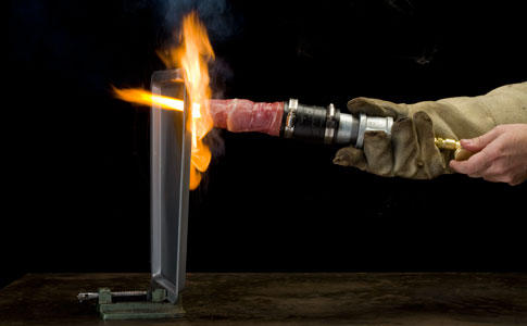 American connoisseur of everything swine.: the edible crack torch.. Get ...